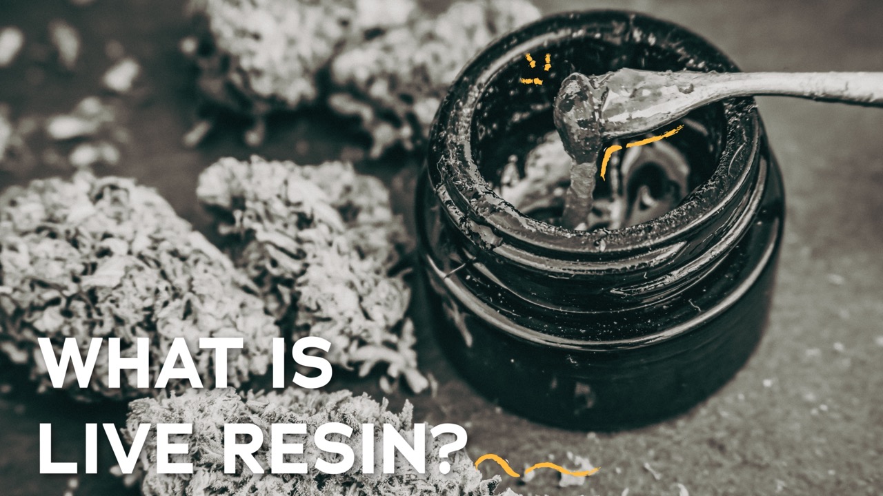 What is Live Resin? - Dreamz