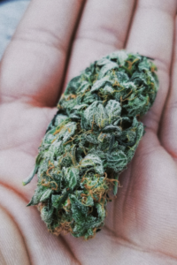 Colors of Cannabis: Why Weed Has So Many Colors - Dreamz