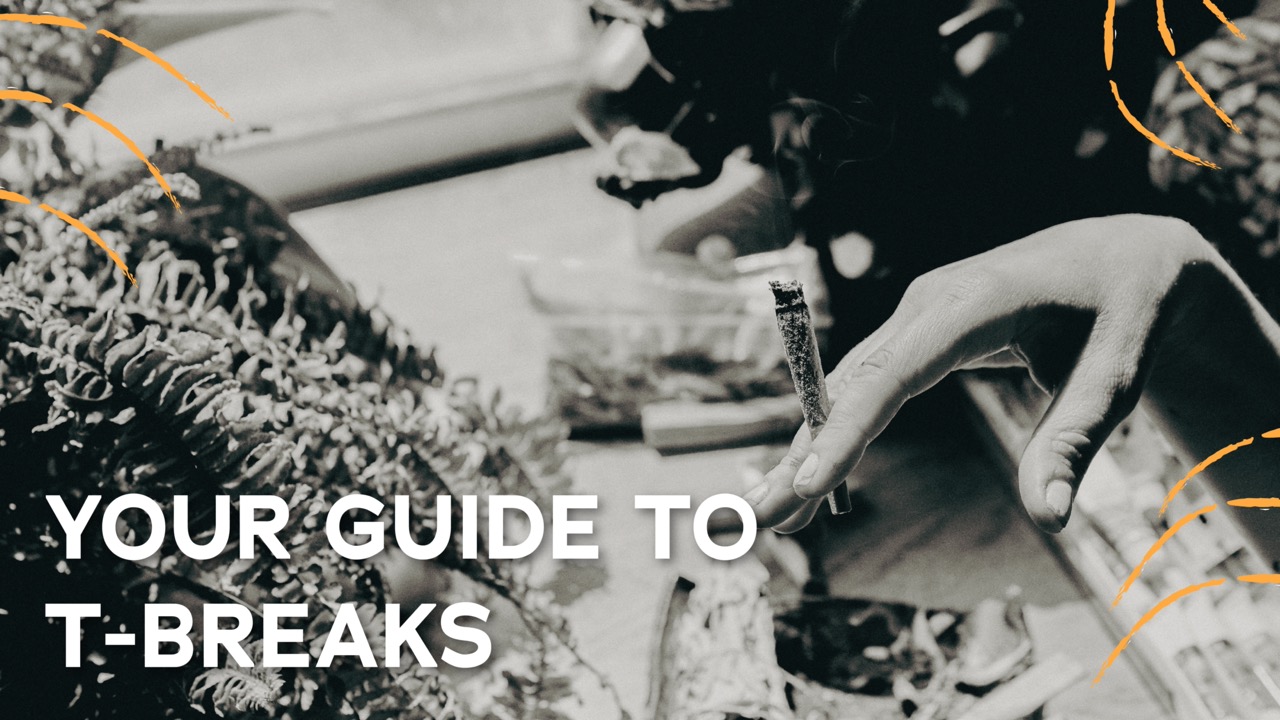 T-Breaks: All About Cannabis Tolerance Breaks - Dreamz