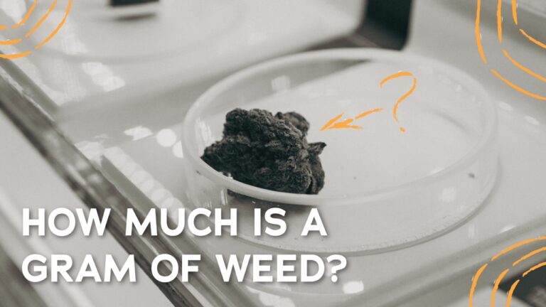 How Much is a Gram of Weed? Cannabis Weight + Price Guide